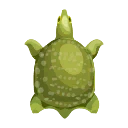 Soft-Shelled Turtle - Animal Crossing: Pocket Camp Wiki