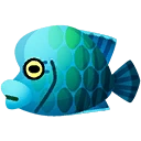 Napoleonfish - Animal Crossing: Pocket Camp Wiki