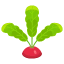 Red Radish - Animal Crossing: Pocket Camp Wiki