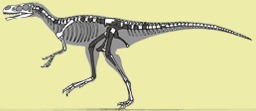 Stokesosaurus | Wiki Animales Prehistoricos y Miticos | Fandom