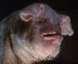 Old Major | Animal Farm Wiki | Fandom