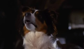 Jessie | Animal Farm Wiki | Fandom