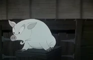 Snowball | Animal Farm Wiki | Fandom
