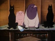 Napoleon | Animal Farm Wiki | Fandom