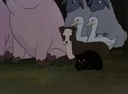 Cat | Animal Farm Wiki | Fandom