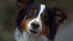 Jessie | Animal Farm Wiki | Fandom