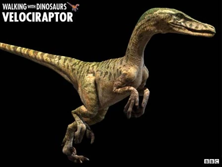 Velociraptor Mongoliensis | Animal History Wiki | Fandom