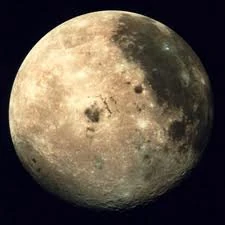 Theia | Animal History Wiki | Fandom