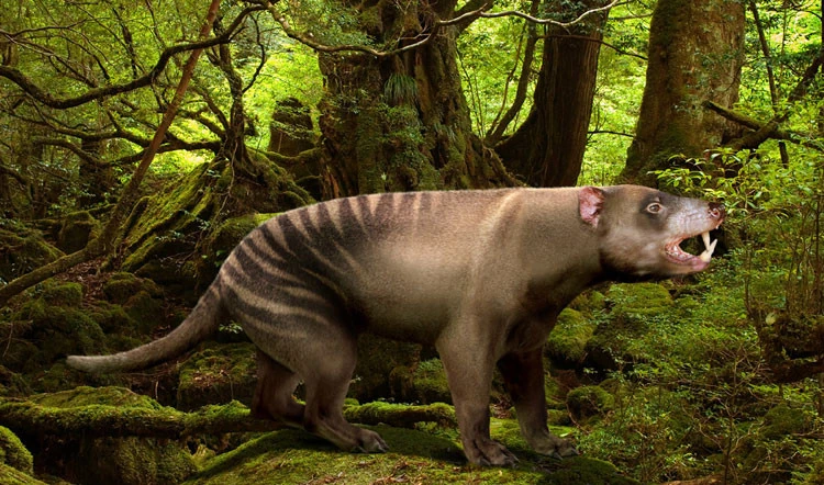 Arminiheringia | Animali Wiki | Fandom