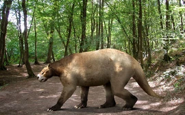 Barylambda | Animali Wiki | Fandom