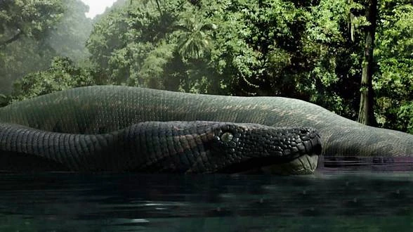 Titanoboa | Animali Wiki | Fandom