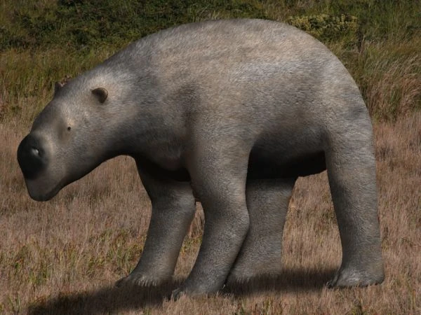 Diprotodon | Animali Wiki | Fandom