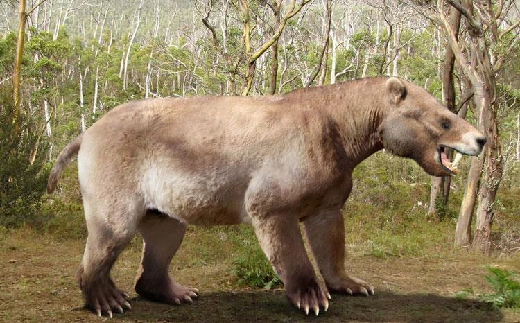 Titanoides | Animali Wiki | Fandom