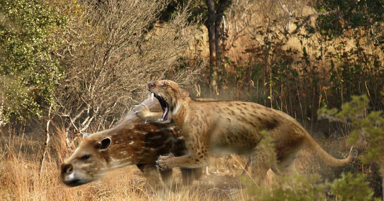 Dinictis | Animali Wiki | Fandom