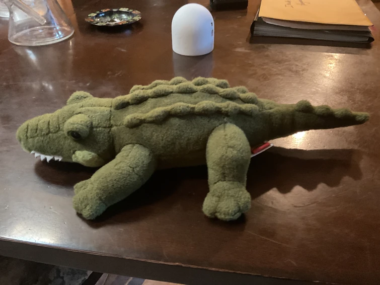 Alligator | Animalia Wiki | Fandom