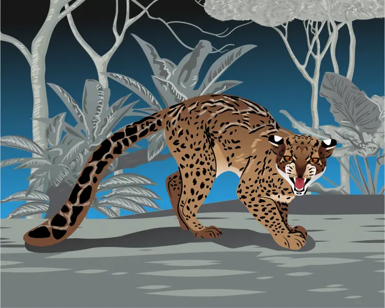 Marbled Cat | Zoopedia Wiki | Fandom