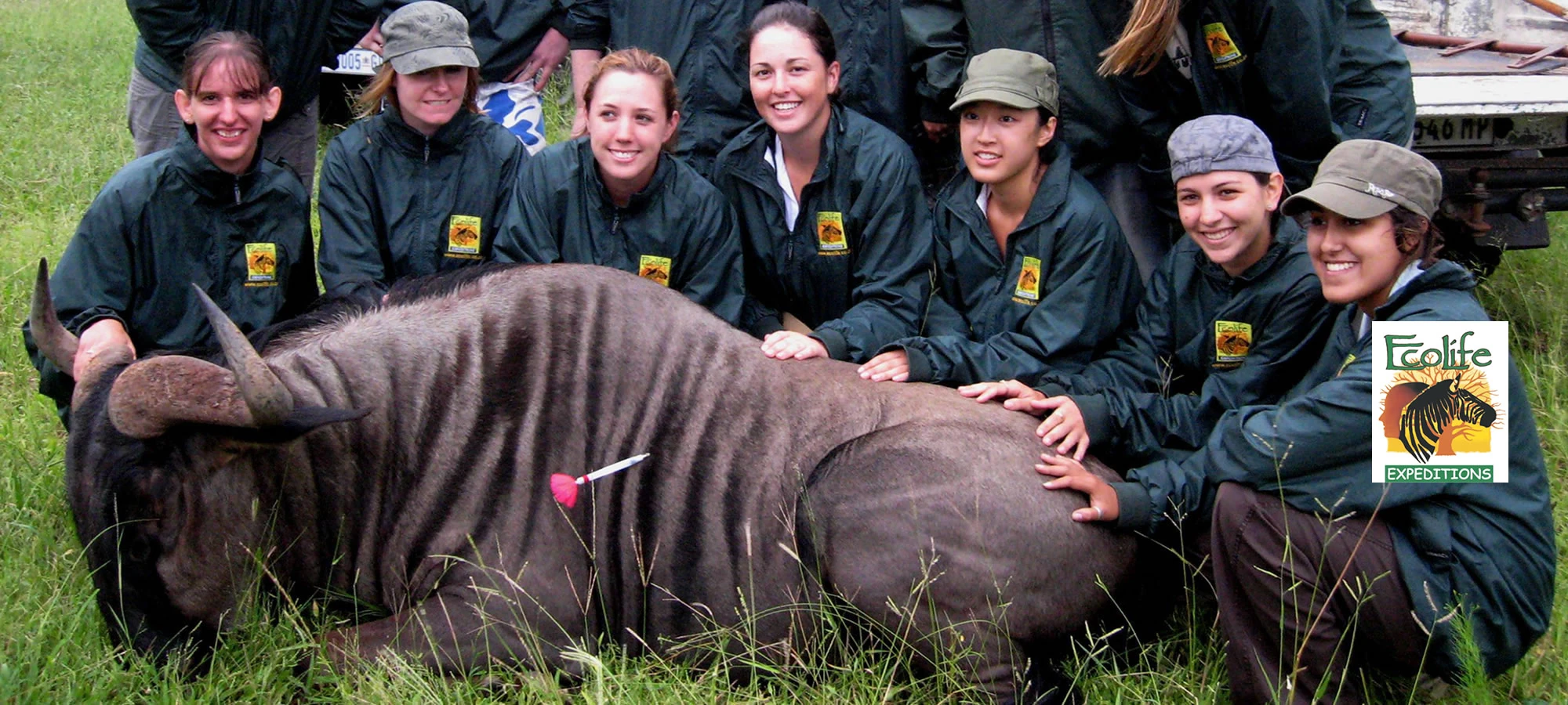 Ecolife Expeditions | Animal Internships Wiki | Fandom