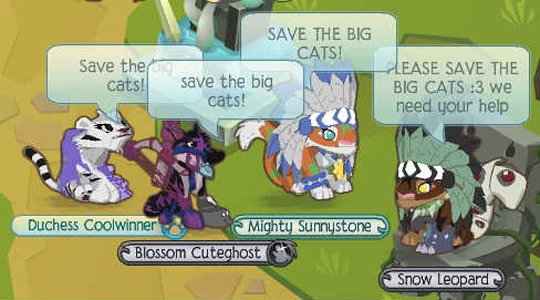 Category:The Daily Explorer | AnimalJam Archives Wikia | Fandom