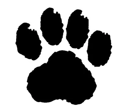 The Snowy Paws (TSP) | Animaljam Dog Packs Wikia | Fandom