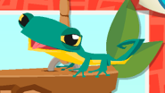 Pet Gecko | Animal Jam Classic Wiki | Fandom
