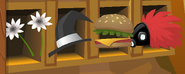 Pet Ladybug | Animal Jam Classic Wiki | Fandom