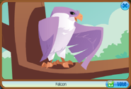 Falcon | Animal Jam Classic Wiki | Fandom