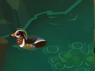 Journey Book (Balloosh) | Animal Jam Classic Wiki | Fandom