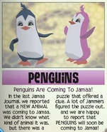 Penguin | Animal Jam Classic Wiki | Fandom