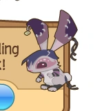 Peck | Animal Jam Classic Wiki | Fandom