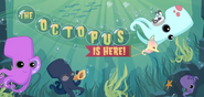 Octopus | Animal Jam Classic Wiki | Fandom
