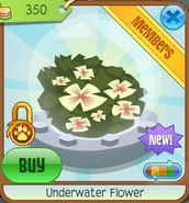 Underwater Flower | Animal Jam Classic Wiki | Fandom