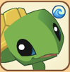Sea Turtle | Animal Jam Classic Wiki | Fandom