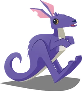 Kangaroo | Animal Jam Classic Wiki | Fandom