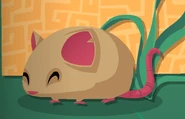 Pet Mouse | Animal Jam Classic Wiki | Fandom