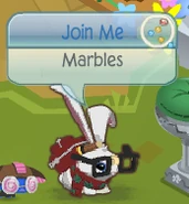 Marbles | Animal Jam Classic Wiki | Fandom