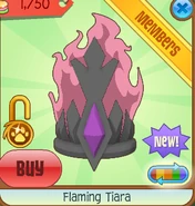 Flaming Tiara | Animal Jam Classic Wiki | Fandom