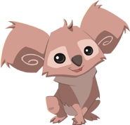Koala | Animal Jam Classic Wiki | Fandom