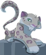 Snow Leopard | Animal Jam Classic Wiki | Fandom