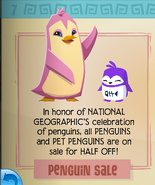 Penguin | Animal Jam Classic Wiki | Fandom