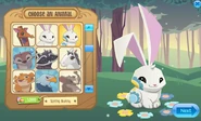 Spring Bunny | Animal Jam Classic Wiki | Fandom