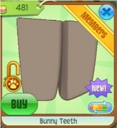 Bunny Teeth | Animal Jam Classic Wiki | Fandom