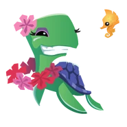 Sea Turtle | Animal Jam Classic Wiki | Fandom