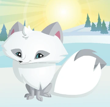 how to draw animal jam fox step by step