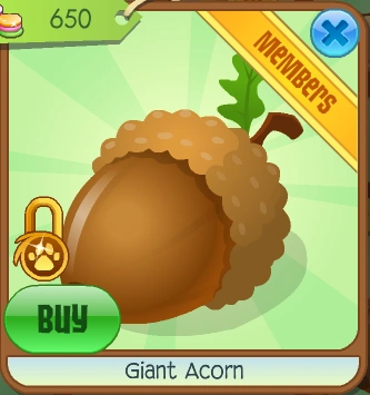 Giant Acorn | Animal Jam Classic Wiki | Fandom