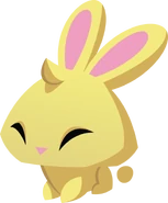 Pet Bunny | Animal Jam Classic Wiki | Fandom