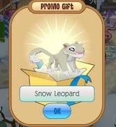 Snow Leopard | Animal Jam Classic Wiki | Fandom