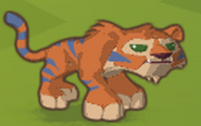 Tiger | Animal Jam Classic Wiki | Fandom