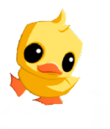 Pet Ducky | Animal Jam Classic Wiki | Fandom