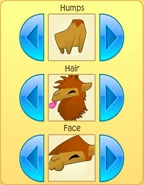 Pet Camel | Animal Jam Classic Wiki | Fandom