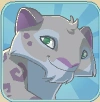 Snow Leopard | Animal Jam Classic Wiki | Fandom